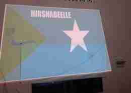 Home - Somali Public Agenda