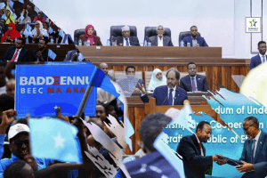 The Ethiopia-Somaliland MoU: Implications and opportunities for ...