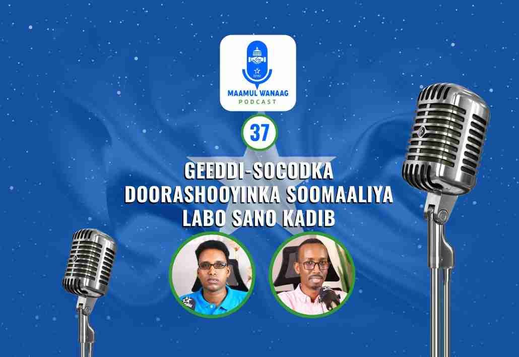 Mobility and Security in Mogadishu: Examining the New Bajaj Rotation ...